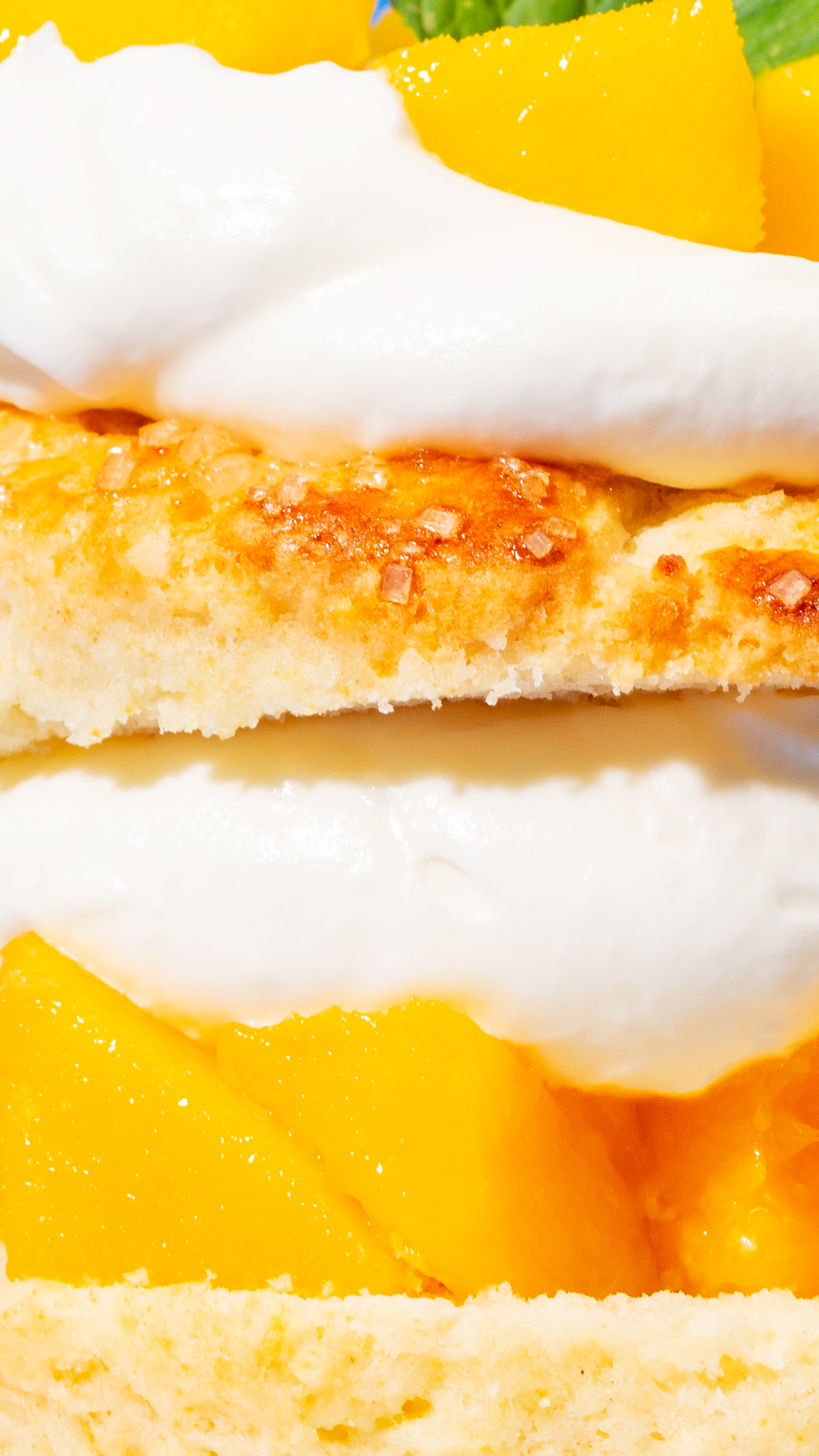 Wit & Vinegar - Food // Design // Nonsense - Page 2